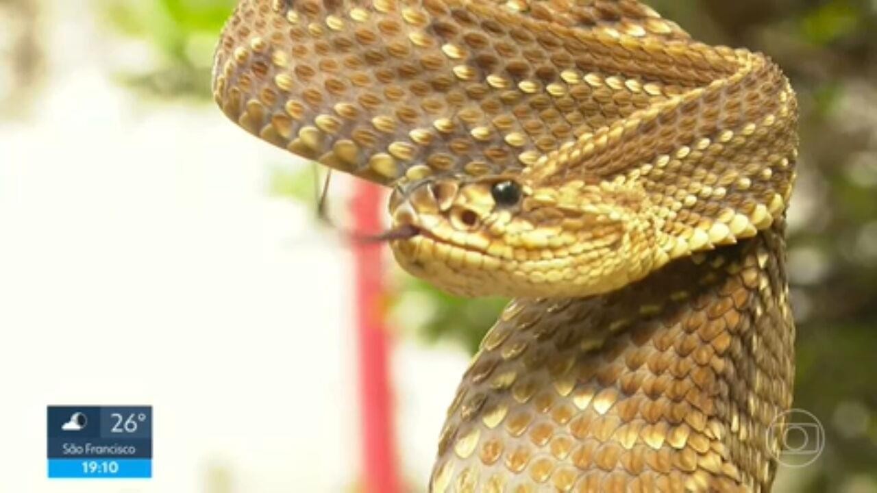 Moradores de Petrópolis se assustam com aumento de acidentes com ...