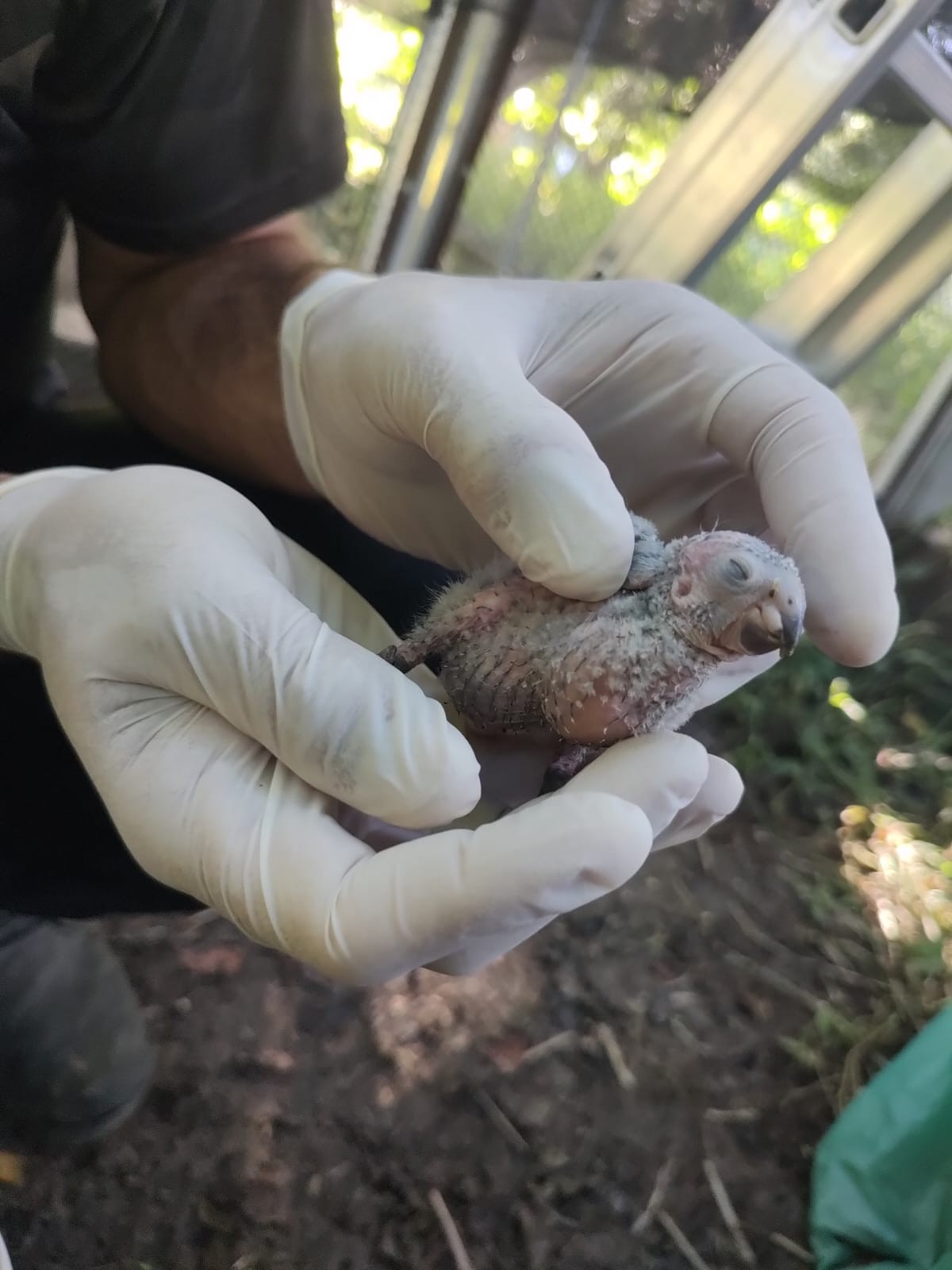 Retrospectiva 2025: reveja as 10 reportagens mais acessadas pelos ...