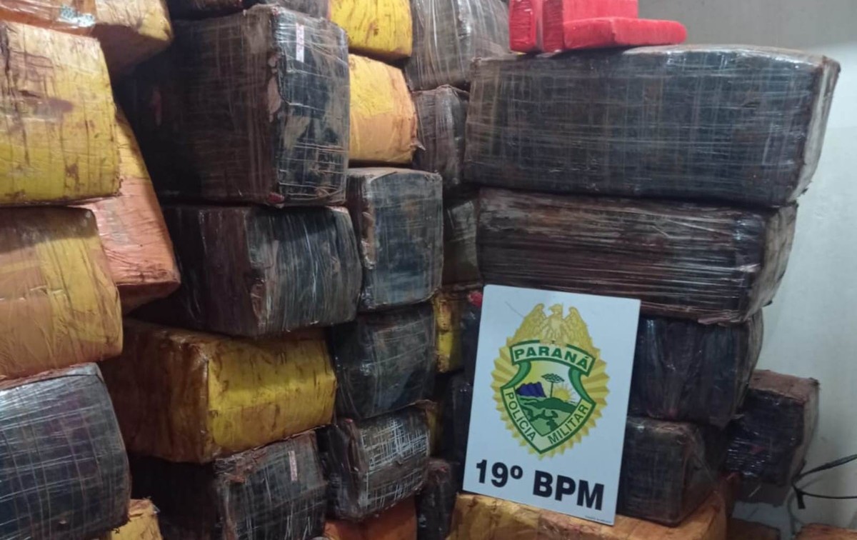 PM apreende mais de uma tonelada e meia de maconha, em Terra Roxa ...