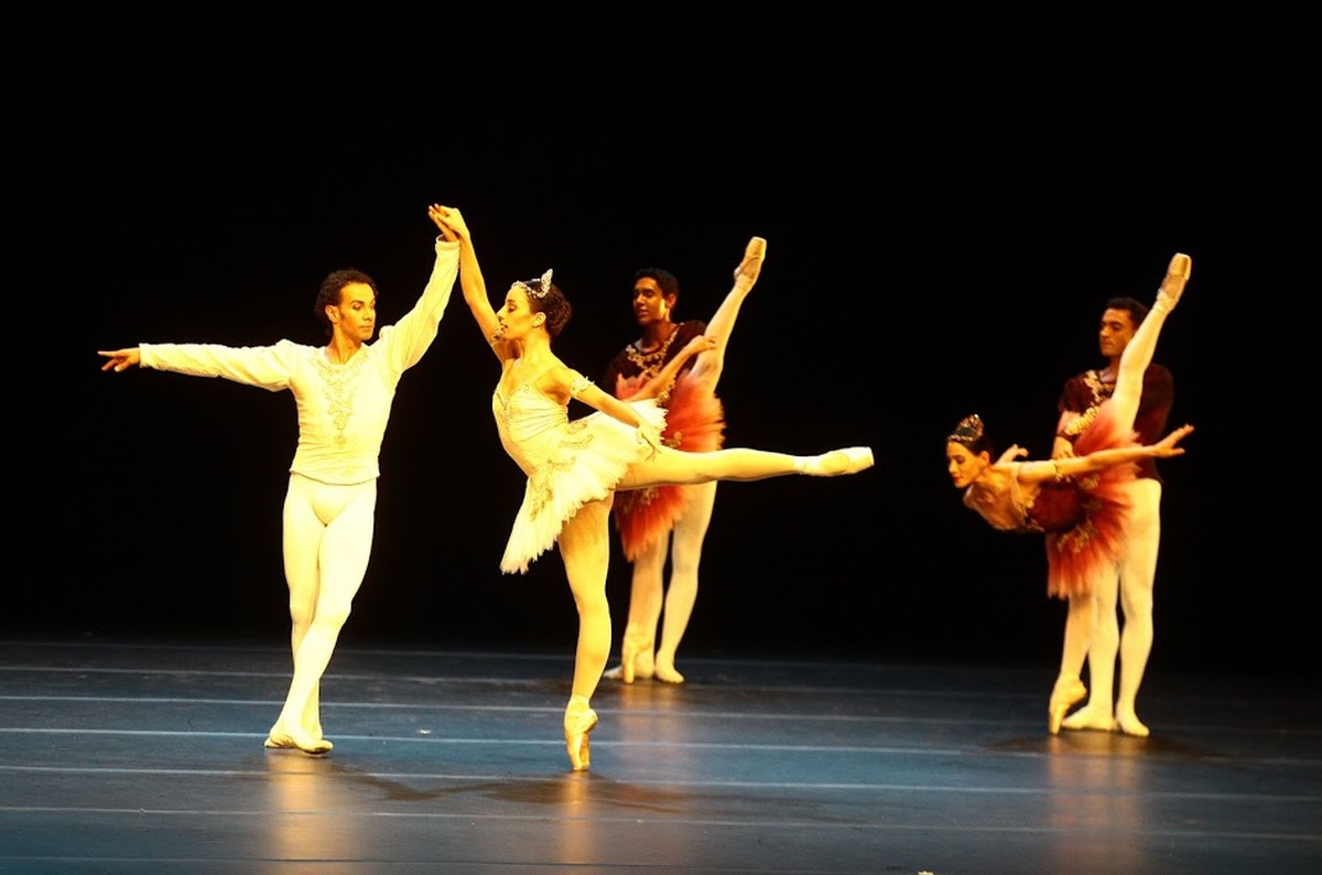 Santos Dance Festival traz espetáculos em vários pontos da cidade até ...