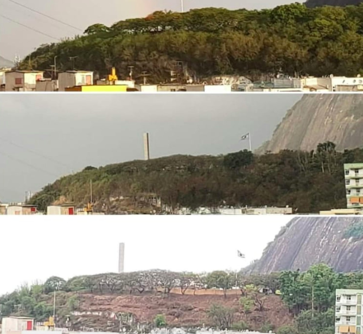 Moradores de Botafogo reclamam da retirada de árvores no Mirante do ...