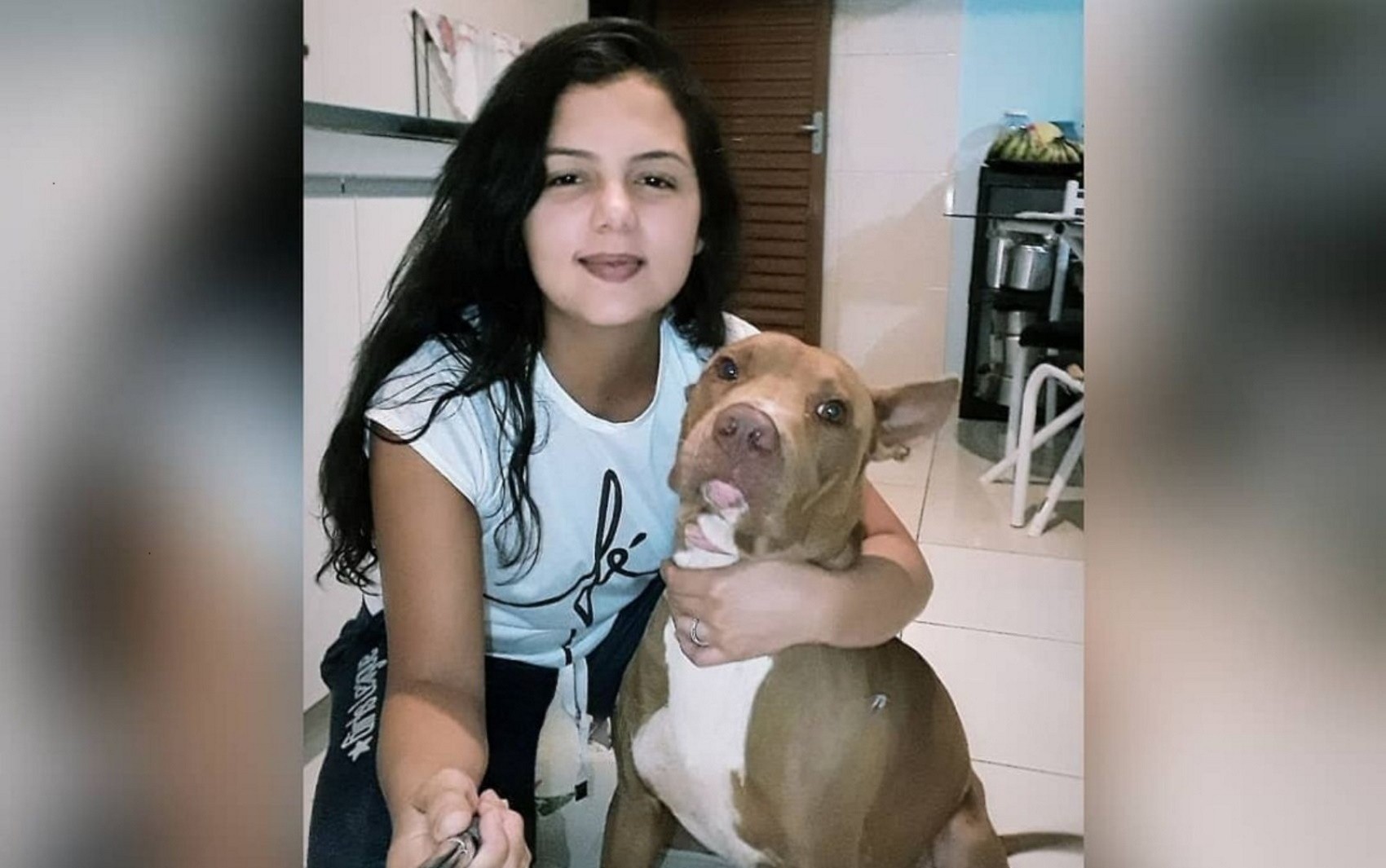 Pit bull mata tutora dentro de casa em Goiás | G1