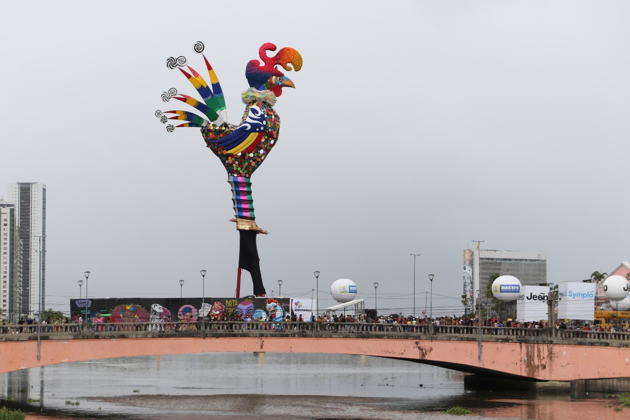Tradição do carnaval do Recife, Galo Gigante comanda festa há 29 anos ...