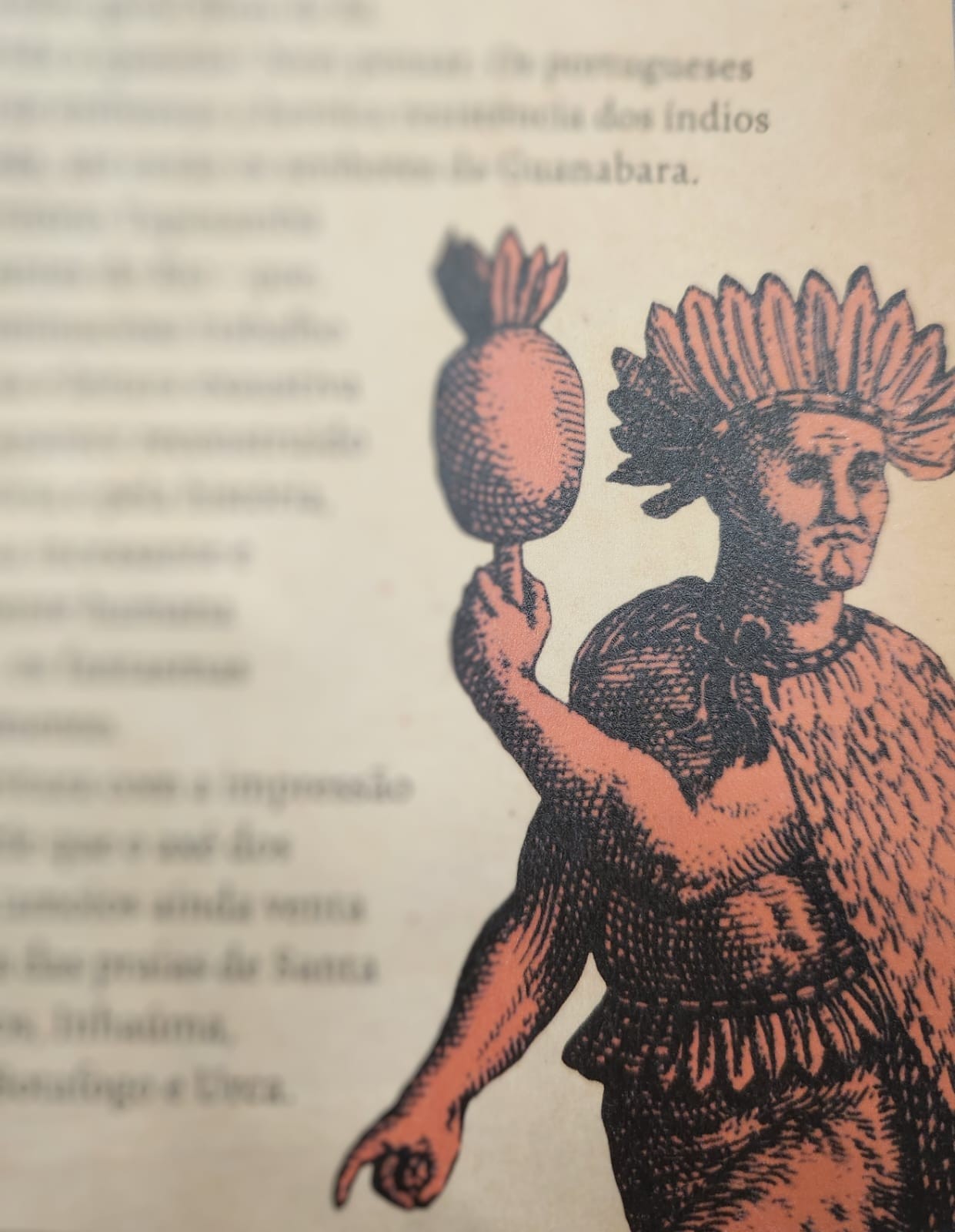 Manto Tupinambá: entenda como o item repatriado era usado em rituais ...