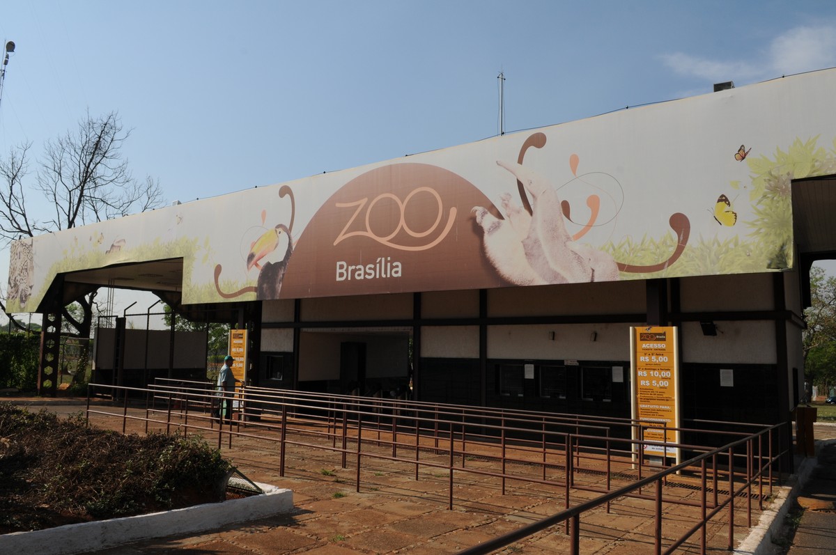 Zoológico de Brasília completa 60 anos nesta 4ª, com programação ...