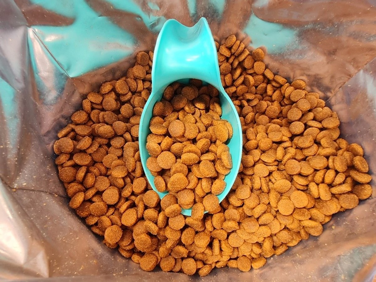 Produção de frango e milho no Paraná vira atrativo para fábricas de ...