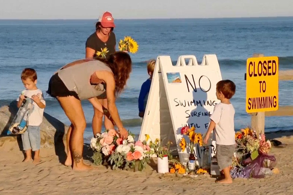 Brasileiro é homenageado na praia em que foi vítima de ataque de ...