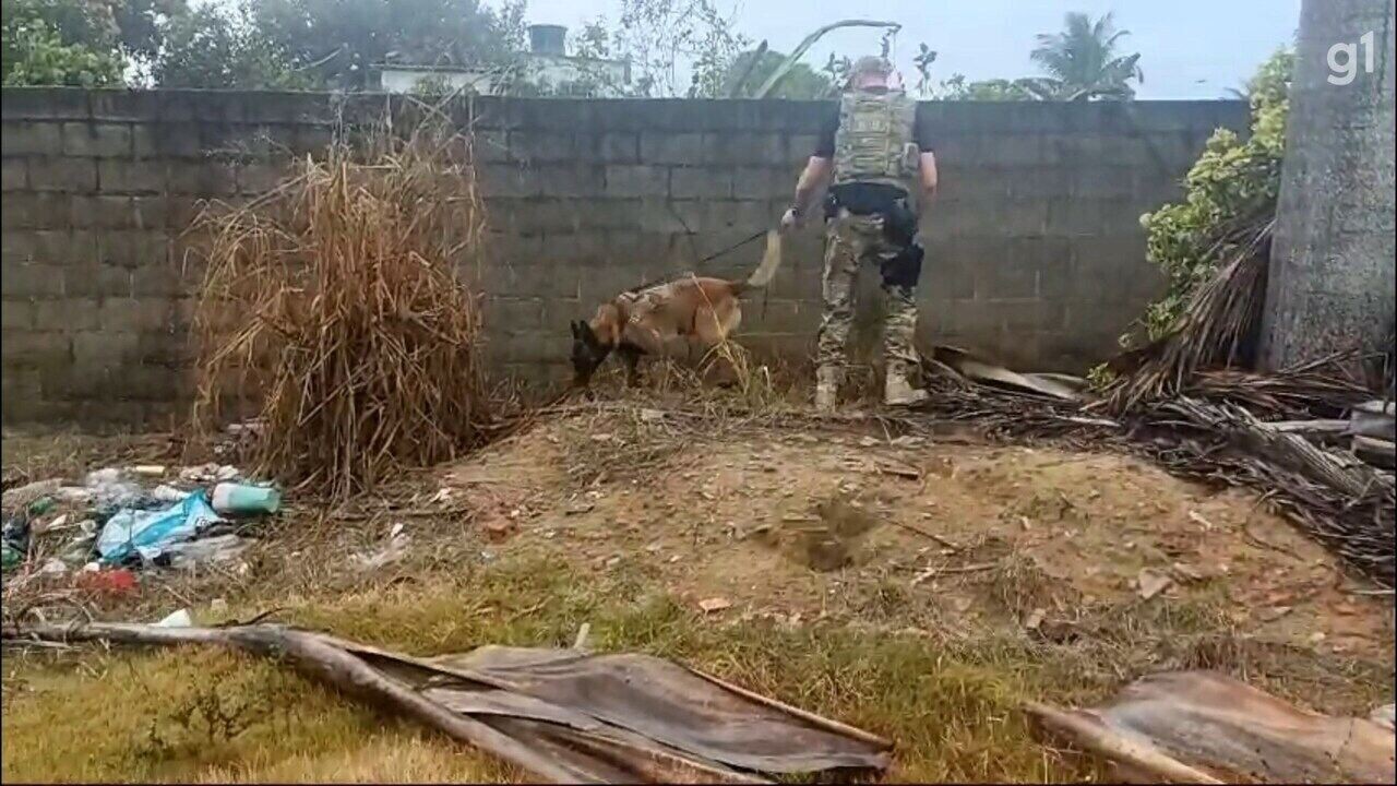 PF faz operação no ES contra grupo que aliciava 'mulas' para ...