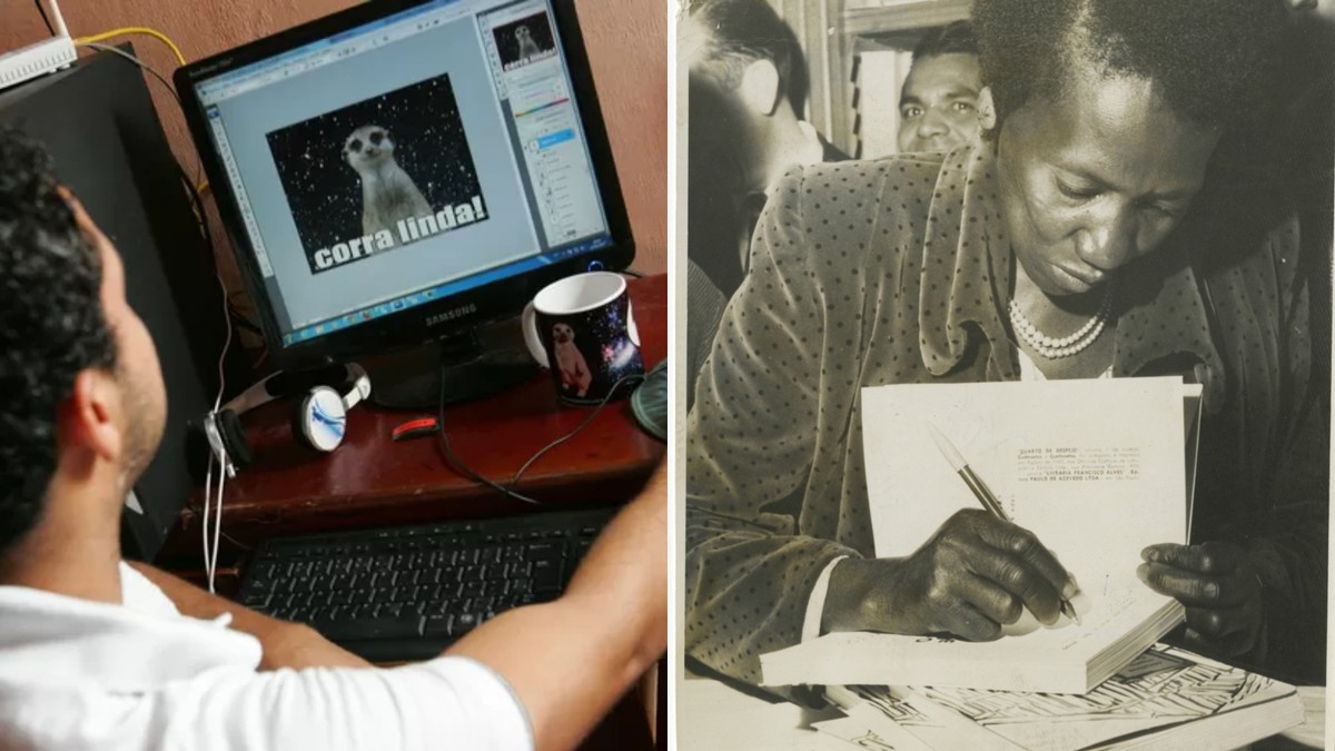 Aniversário do Suricate Seboso, bloco Luxo da Aldeia e exposição sobre ...