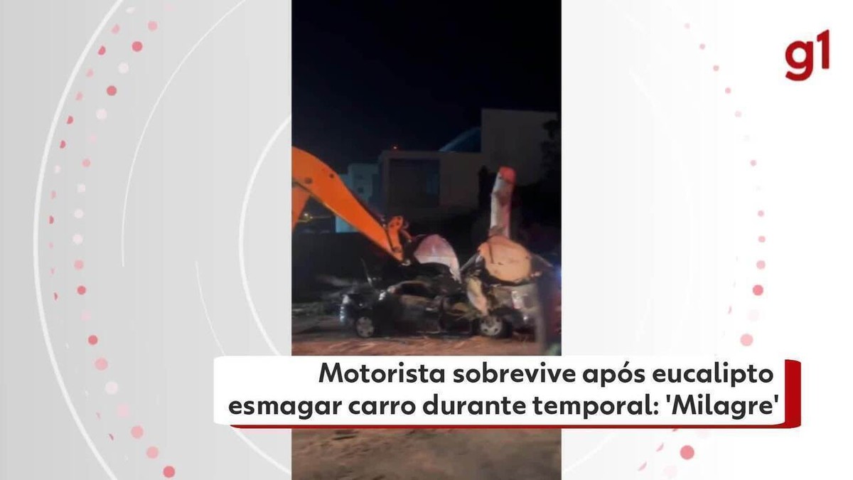 VÍDEO: Motorista sobrevive após eucalipto esmagar carro durante temporal: 'Milagre' | Campos ...