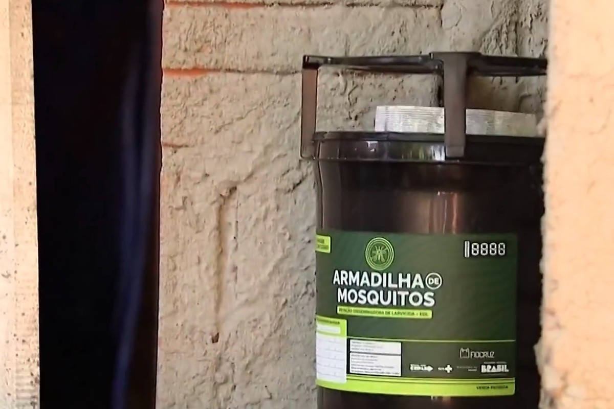 Como epidemia de chikunya fez quase 2 mil casos e 7 mortes em MS | G1