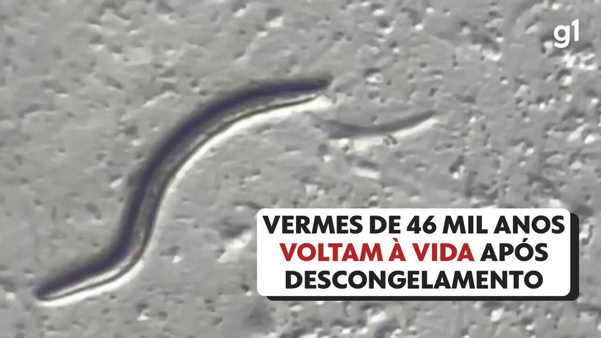 Vermes de 46 mil anos voltam à vida após processo de descongelamento ...