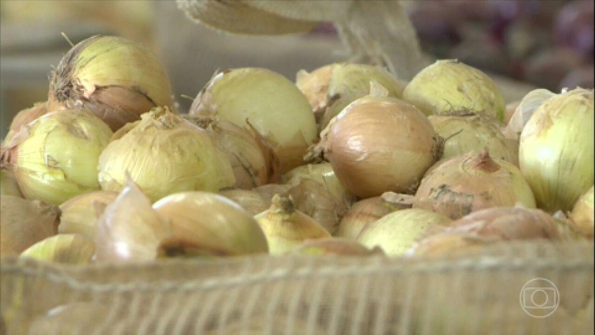 Colheita de cebola cresce 20% em Santa Catarina | Globo Rural | G1