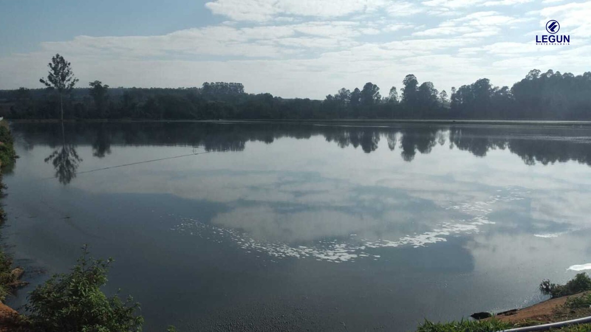 Conheça o sistema da Legun Biotecnologia para redução de contaminação ...