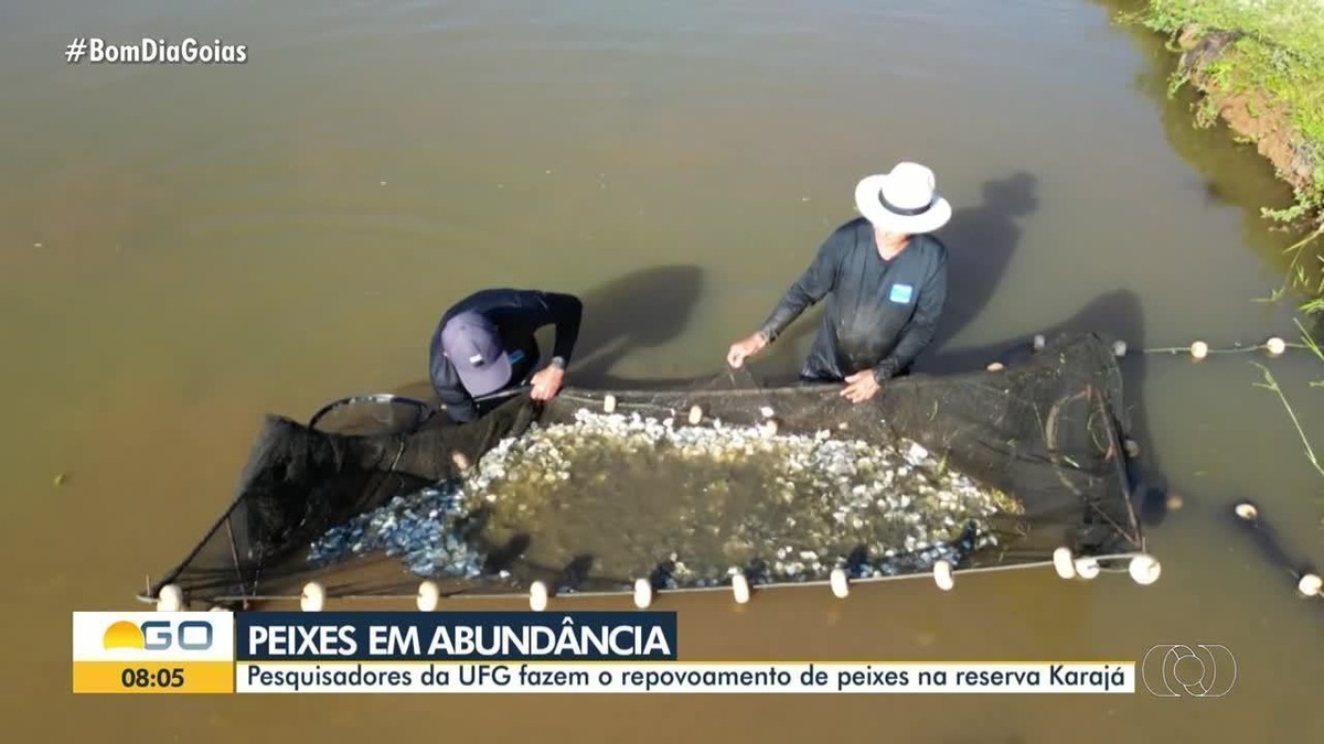 Após escassez de peixes em área indígena, projeto aumenta para 50 mil a ...