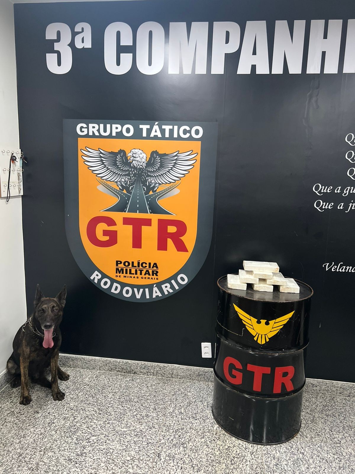 Homem Suspeito De Transportar Drogas é Preso Em ônibus No Anel