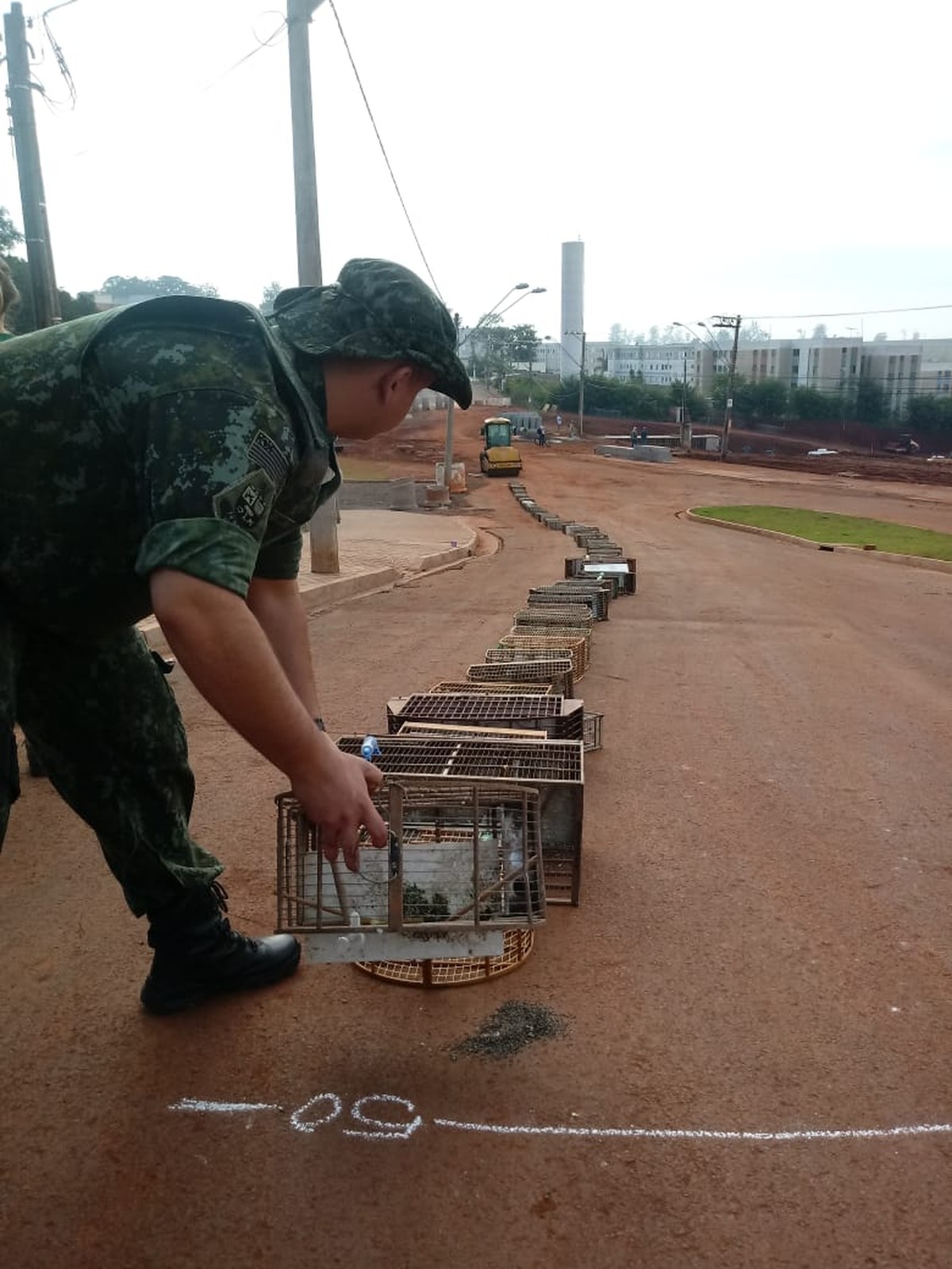 Polícia Ambiental de Botucatu destrói mais de 300 gaiolas apreendidas ...