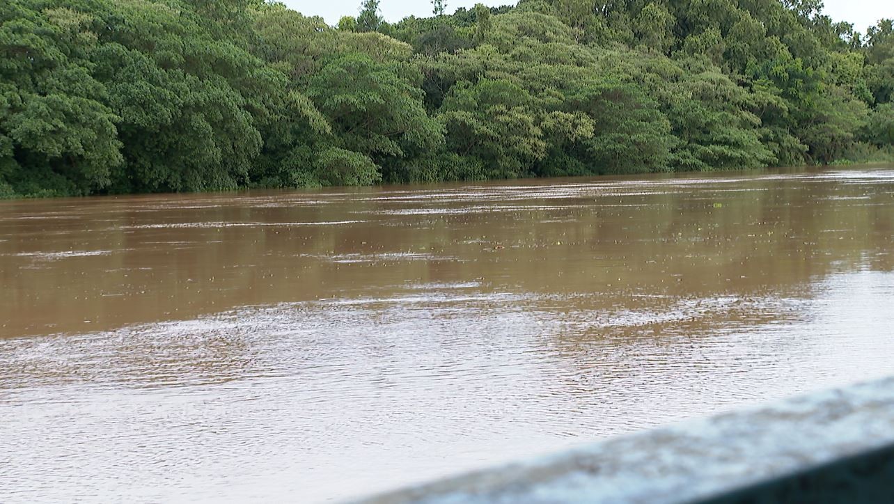Cidades da região de Ribeirão Preto, SP, emitem alerta para aumento do ...