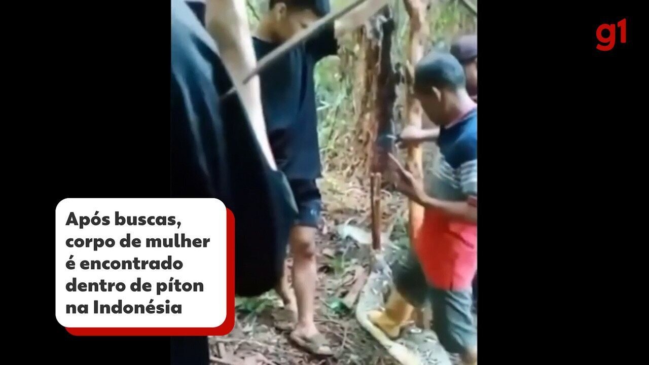 Como cobras conseguem engolir seres humanos inteiros? | G1