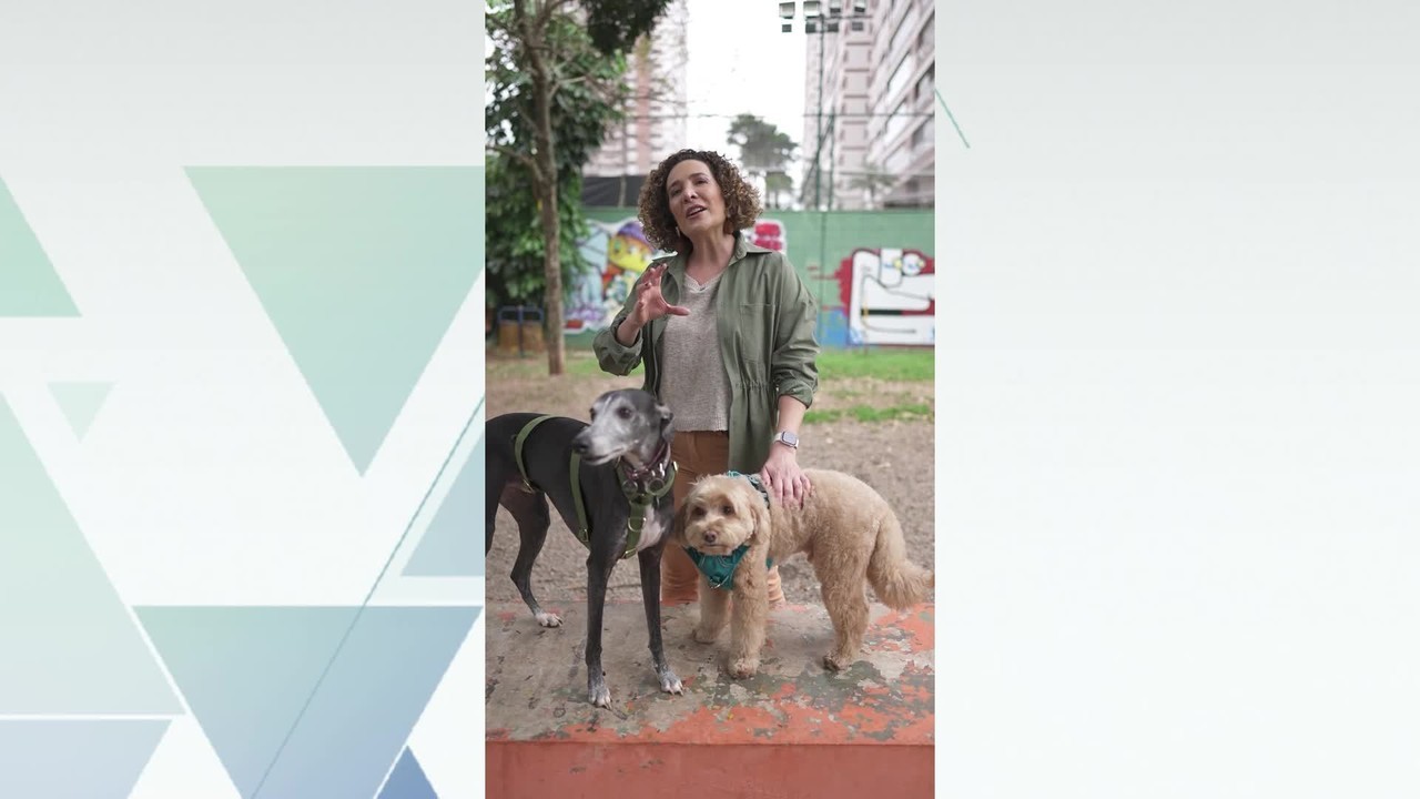 Estudos avaliam o envelhecimento celular para calcular a 'idade humana ...