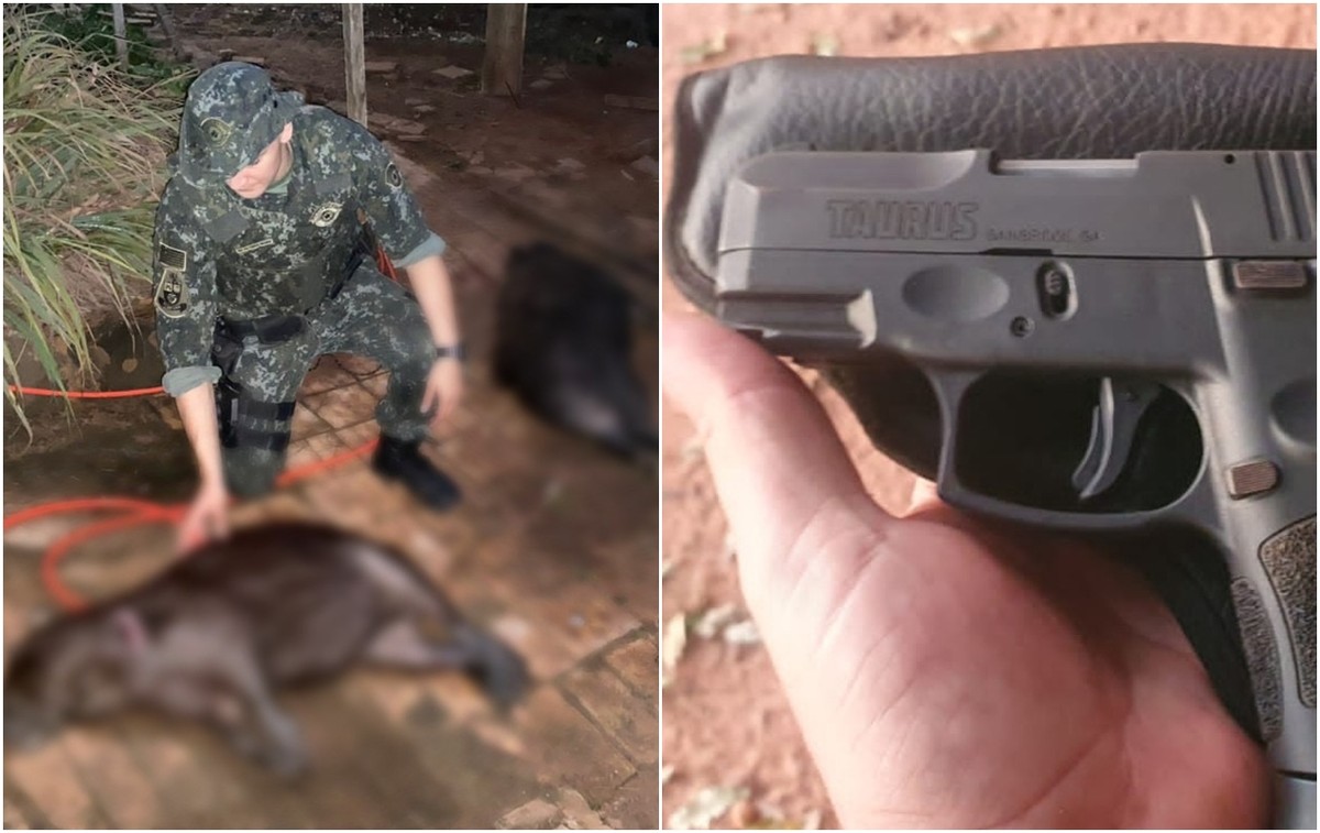 Homem é preso e multado por matar capivaras no interior de SP | São ...