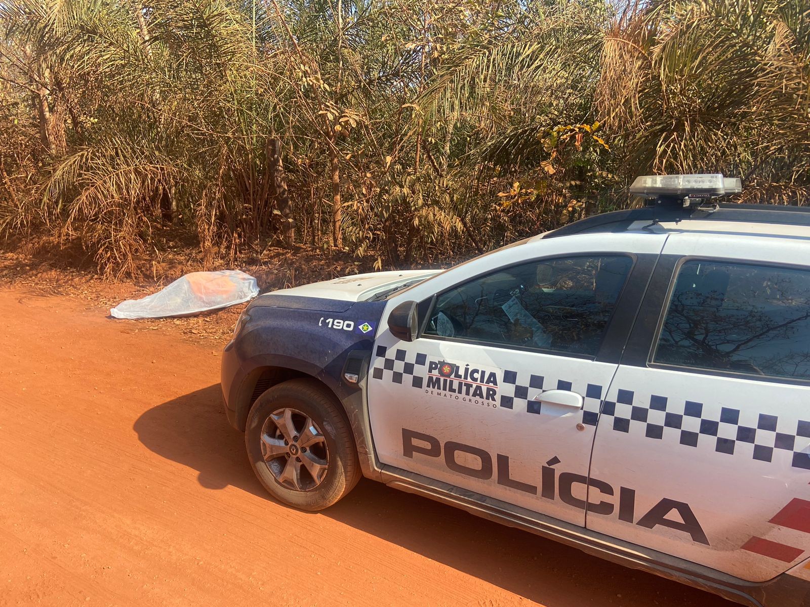 Corpo com marcas de tiros e faca é achado em MT | G1