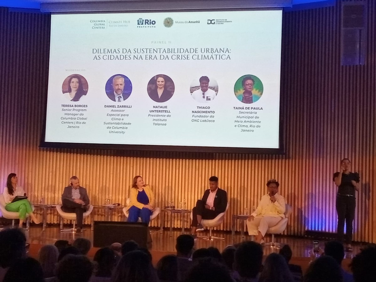 Secretária de Meio Ambiente do Rio quer reflorestar comunidades que ...