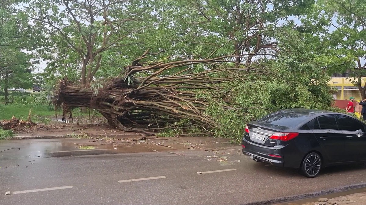 'Cúmulo-nimbo': entenda o que causou a tempestade em Porto Velho ...