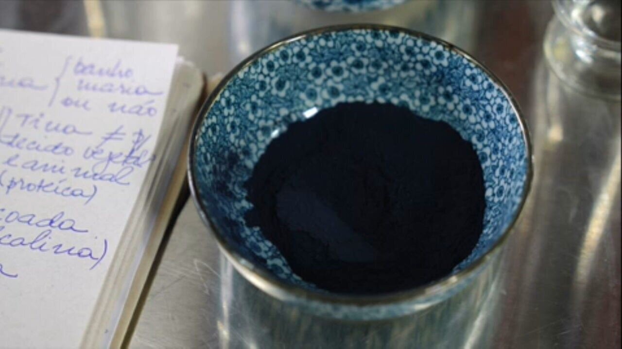 Brasileira começa primeiro cultivo de índigo na América, depois de se ...