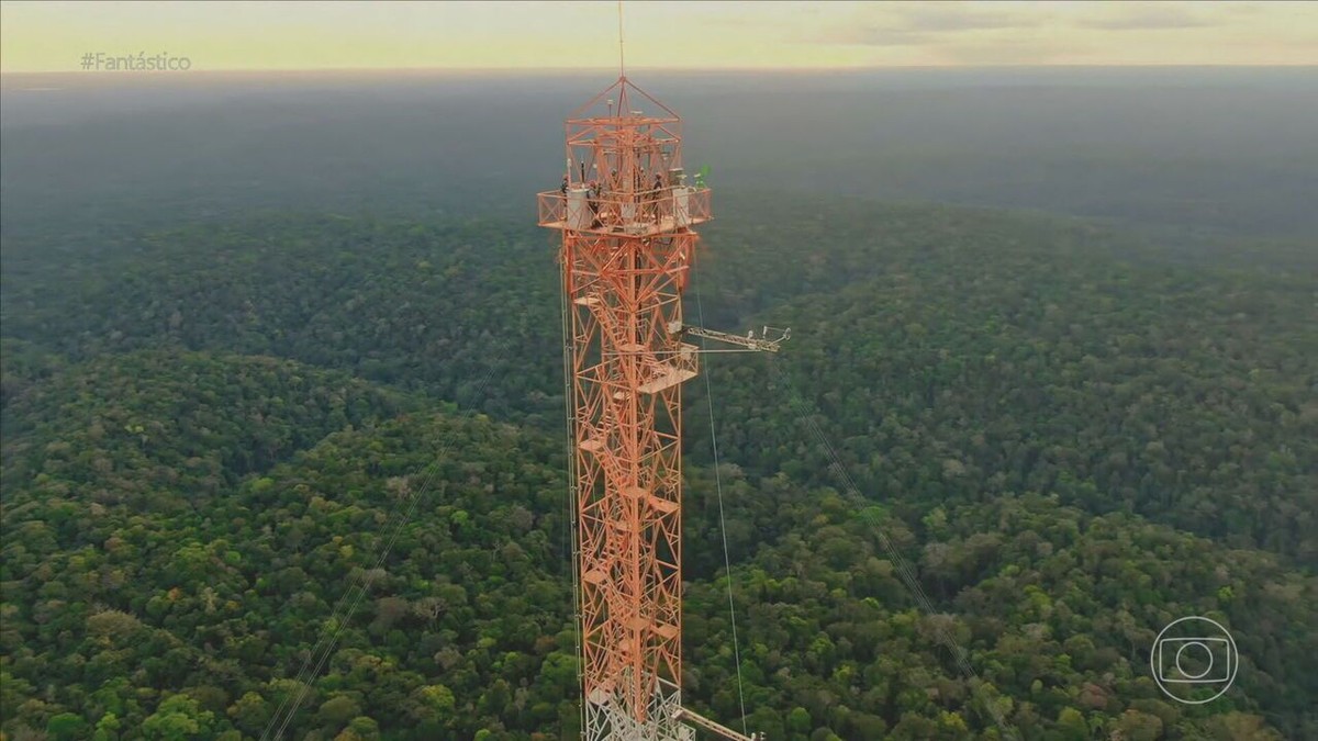 Quem vive ali? Guardiões da ciência cuidam da maior torre de pesquisas ...