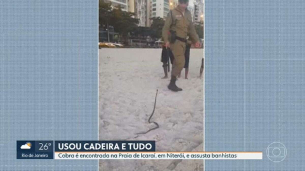 Cobra surpreende banhistas em Icaraí, RJ | Rio de Janeiro | G1