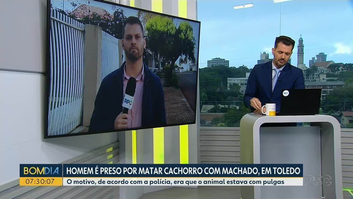 Homem De 58 Anos é Preso Em Flagrante Por Matar Cachorro Com Golpes De