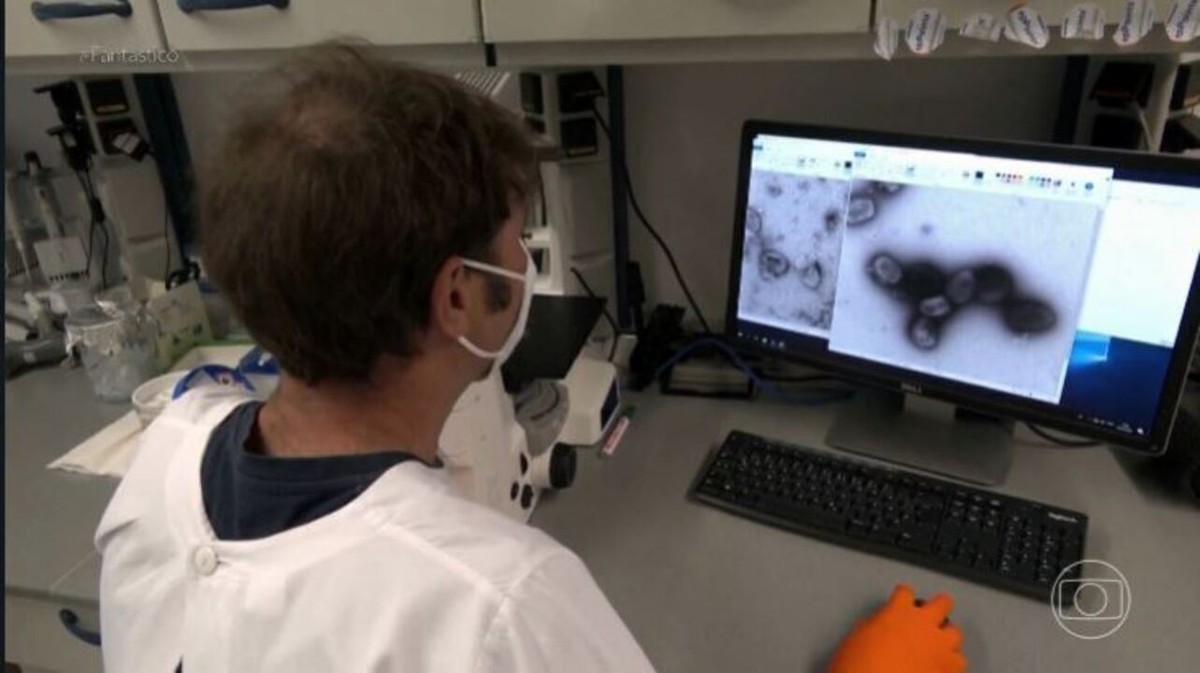 Varíola dos macacos: entenda a diferença entre a doença do surto atual ...