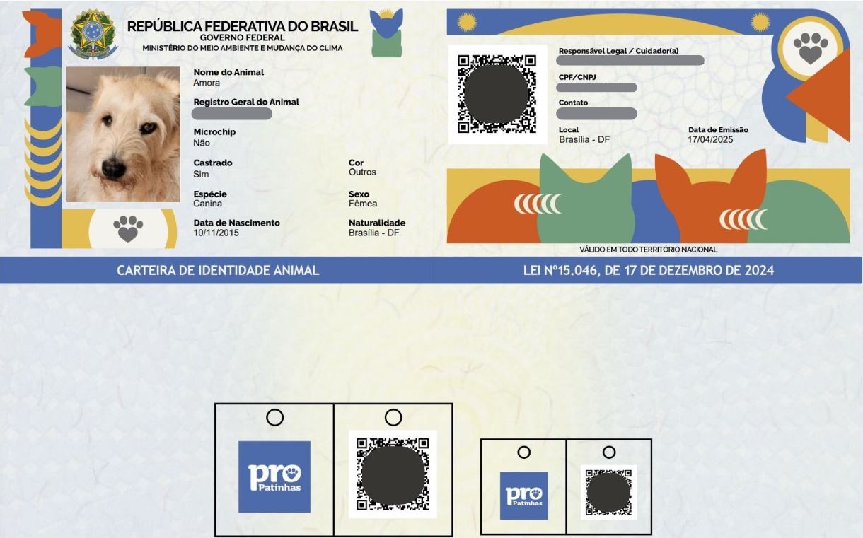 'RG Animal': governo lança cadastro nacional para cães e gatos | G1