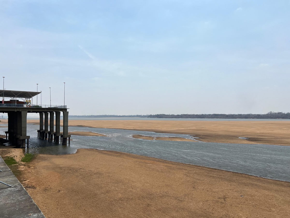Nível do Rio Branco, principal rio de Roraima, chega a 9 cm positivos ...