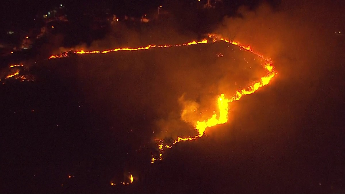 Incêndio de grandes proporções atinge zona de mata em Vila Valqueire ...