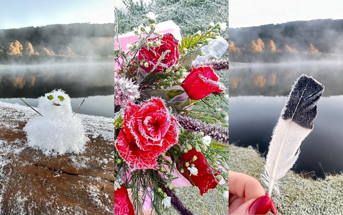 FOTOS: Boneco de gelo, flores e pena congeladas: Sul de MG tem menor ...
