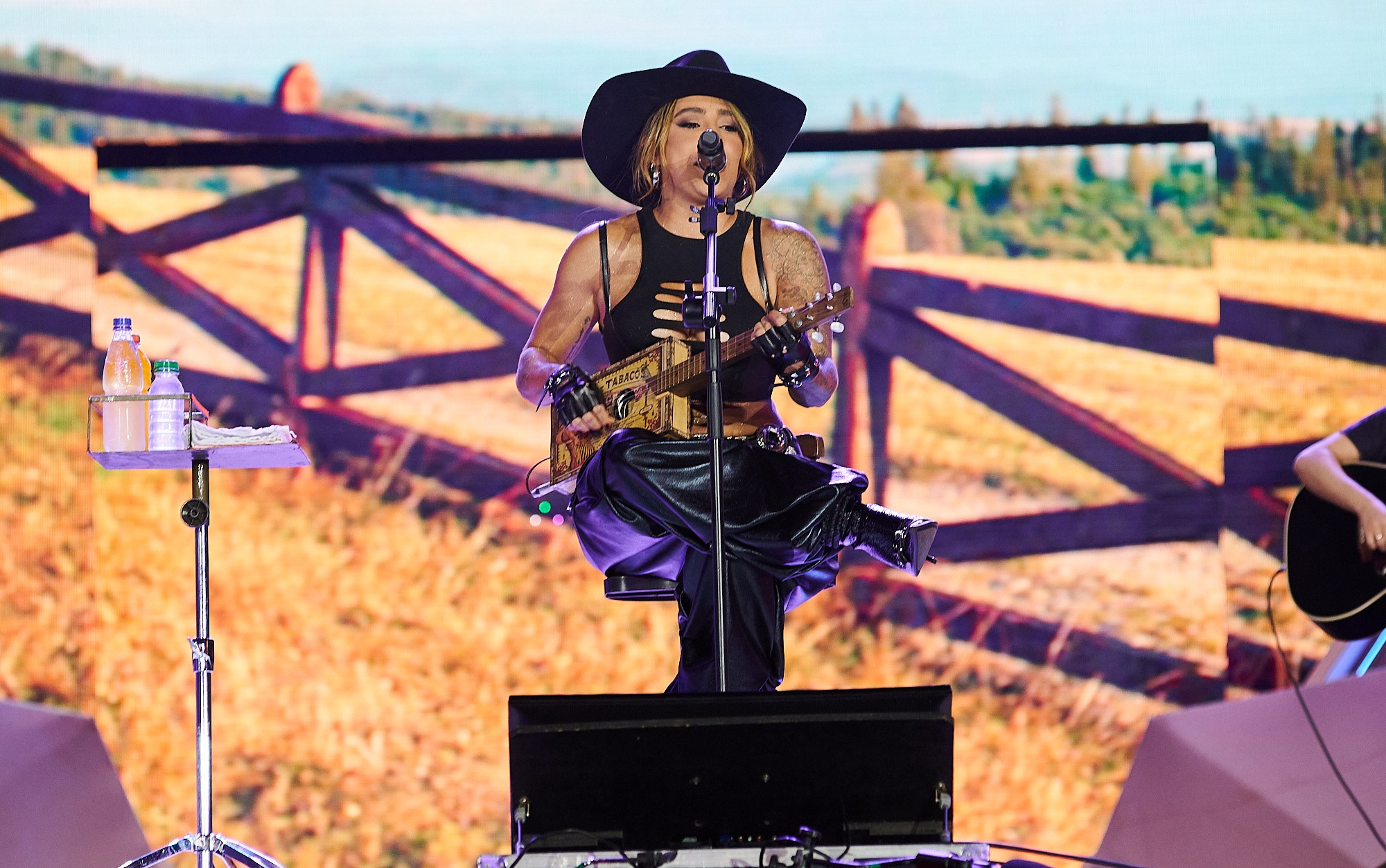 Lauana Prado leva projeto 'Raiz' à arena de Barretos, une filho de Zé ...