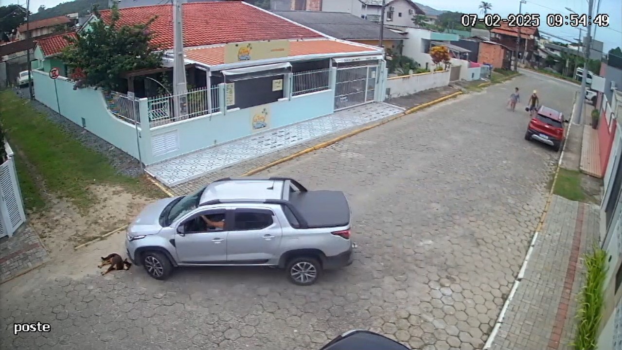 Motorista atropela cachorro dormindo e é preso em flagrante em SC; VÍDEO