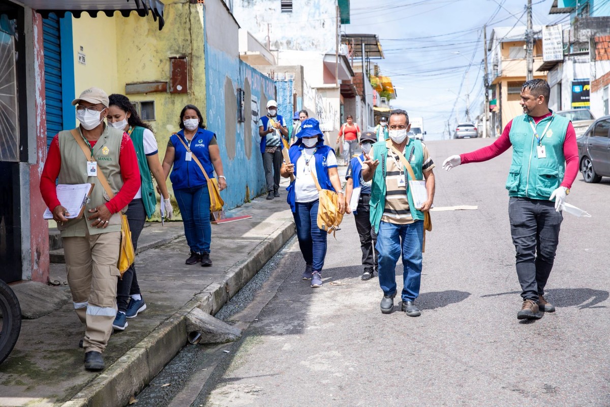 Manaus registra mais de 300 casos de febre Oropouche esse ano, aponta ...