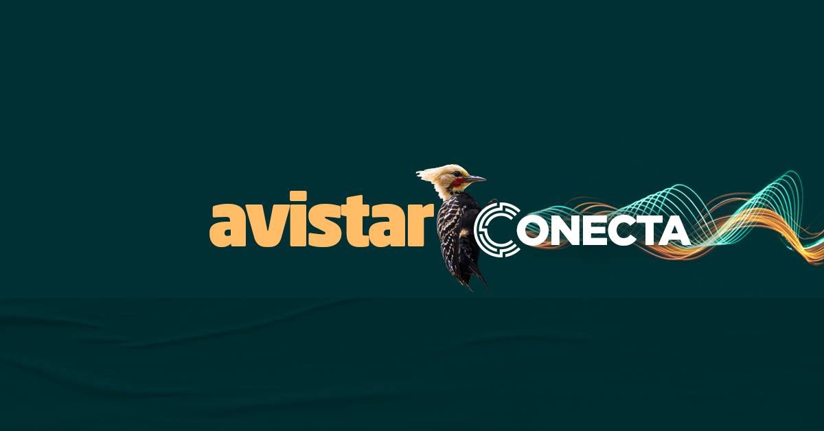 Avistar 2020: maior feira de observação de aves da América Latina será ...