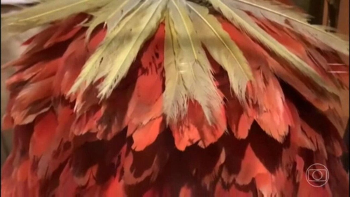 Pesquisadores analisam manto sagrado tupinambá e revelam detalhes sobre ...