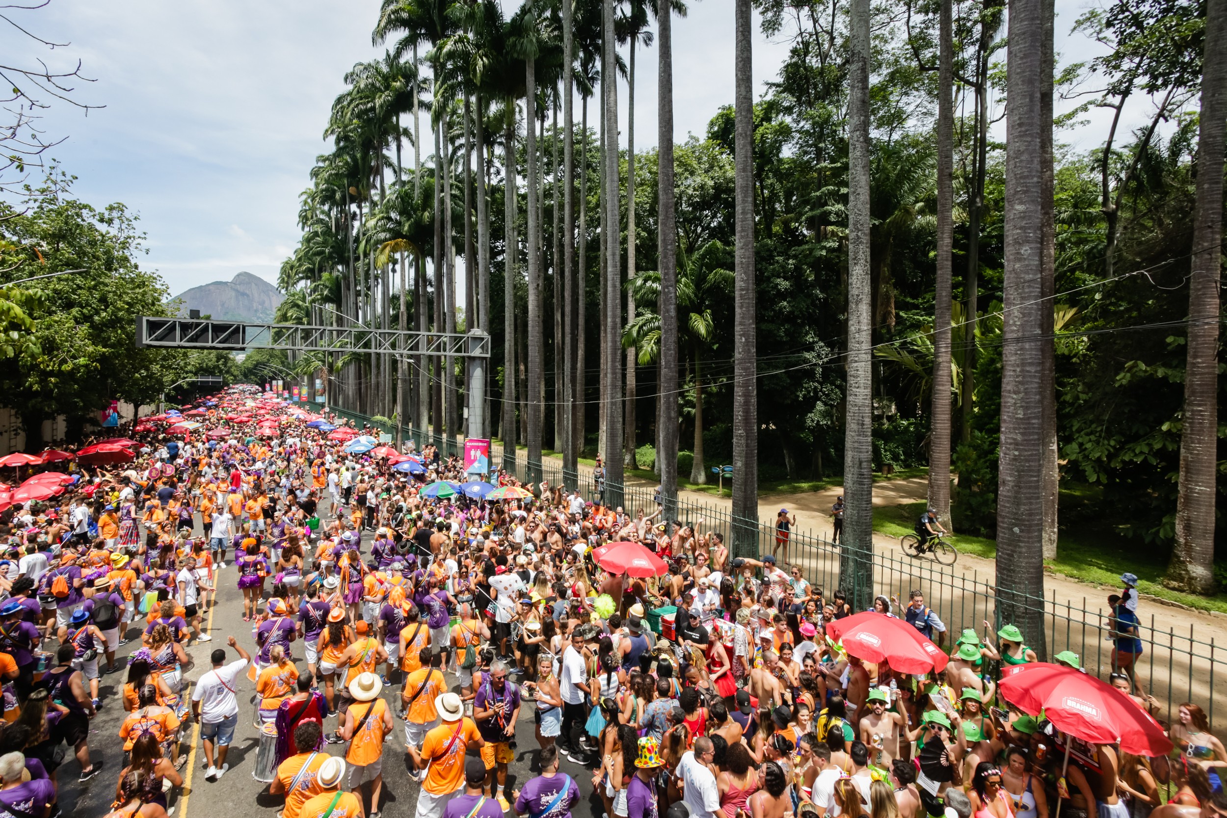 Com mais de 50 blocos, sábado de carnaval no Rio tem Bola Preta e Banda ...