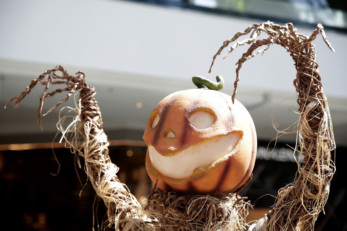 Halloween chega a Brasília com exposições, festas e brincadeiras | O ...