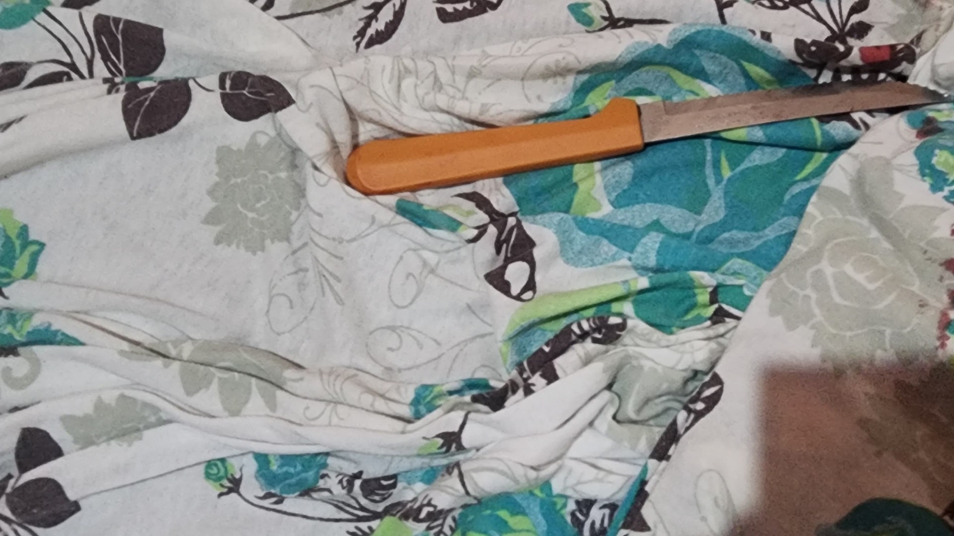 Tia é Presa Em Flagrante Após Esfaquear Sobrinha De Apenas Três Anos No