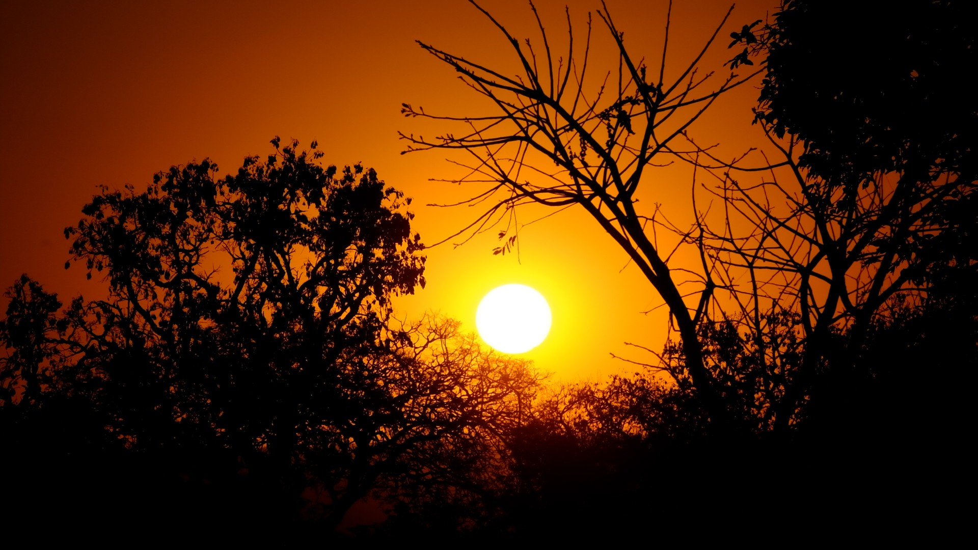 DF tem dia mais quente do ano: 35,3ºC | G1