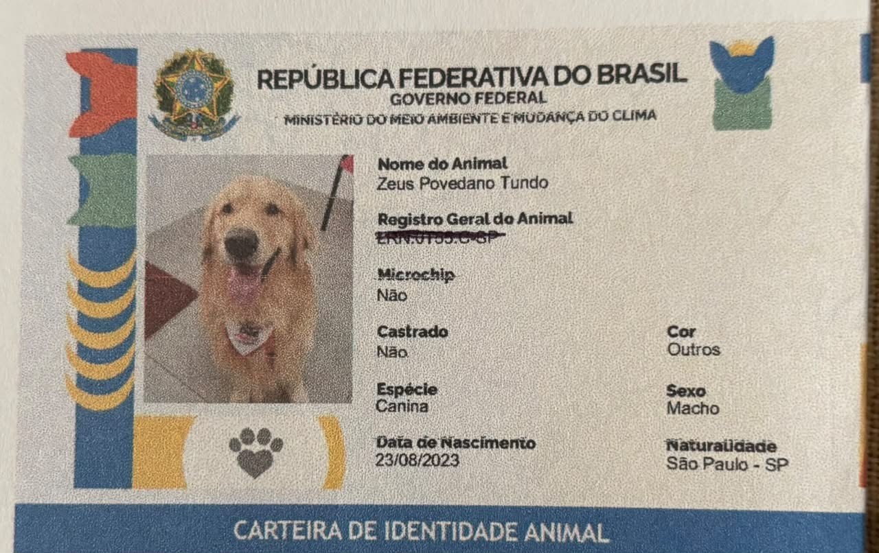 RG Pet: veja como fazer cadastro e os nomes mais comuns de cães e gato | G1
