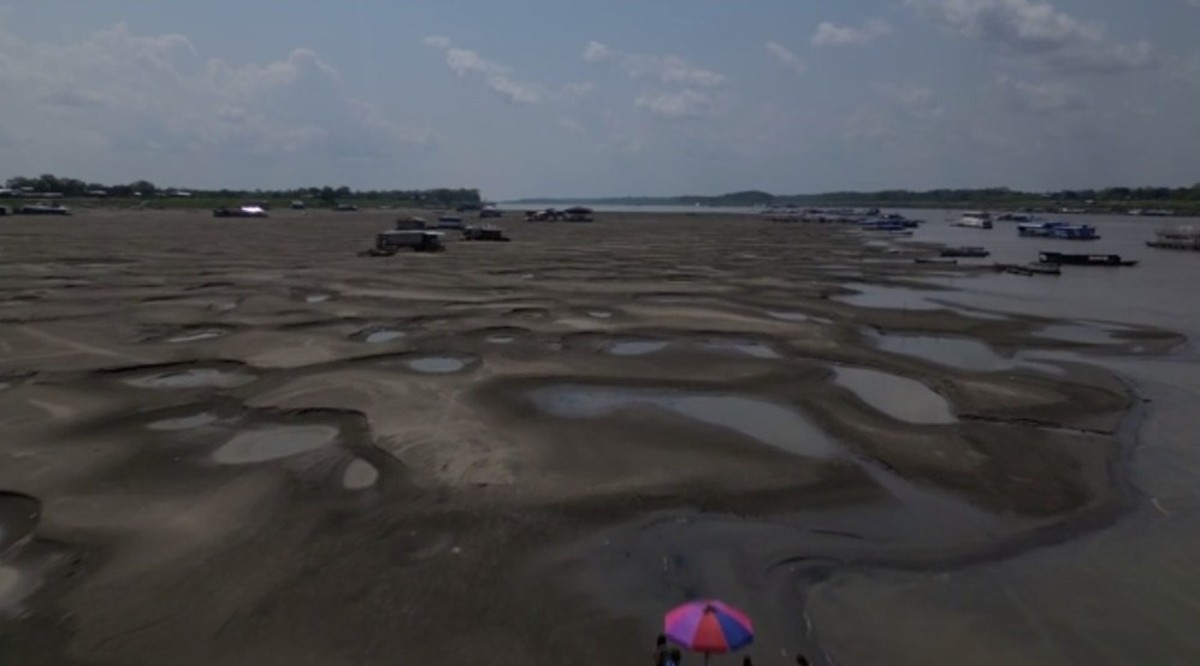 Rio Solimões está a 11 cm da seca histórica no Amazonas | Amazonas | G1