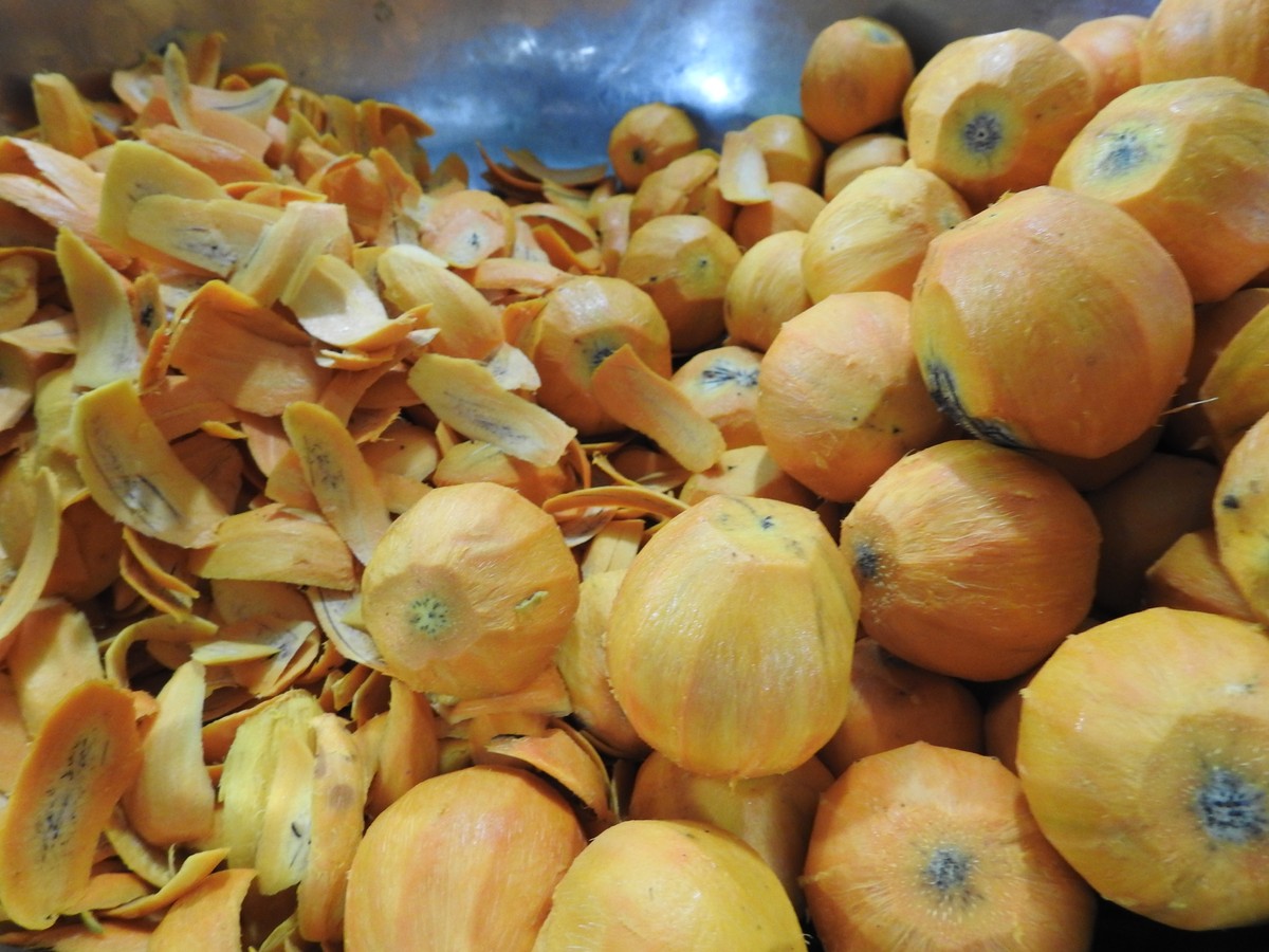 Após casos suspeitos de infecção alimentar, Manacapuru pede que ...