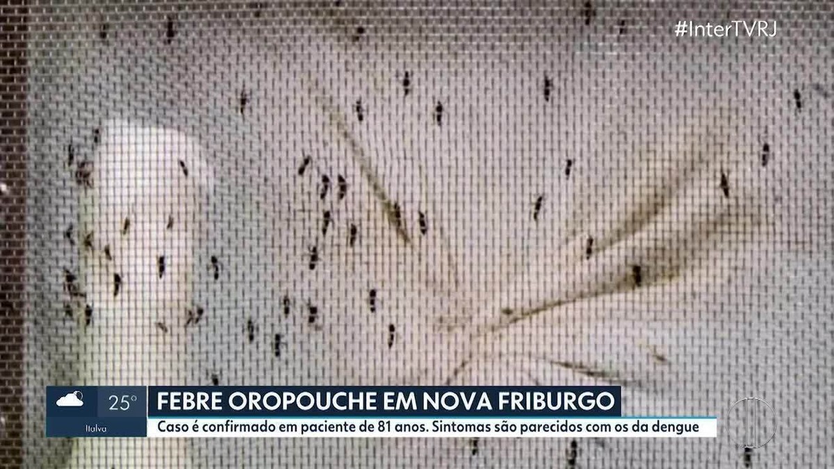 Saúde em Nova Friburgo confirma caso de febre oropouche em paciente de ...